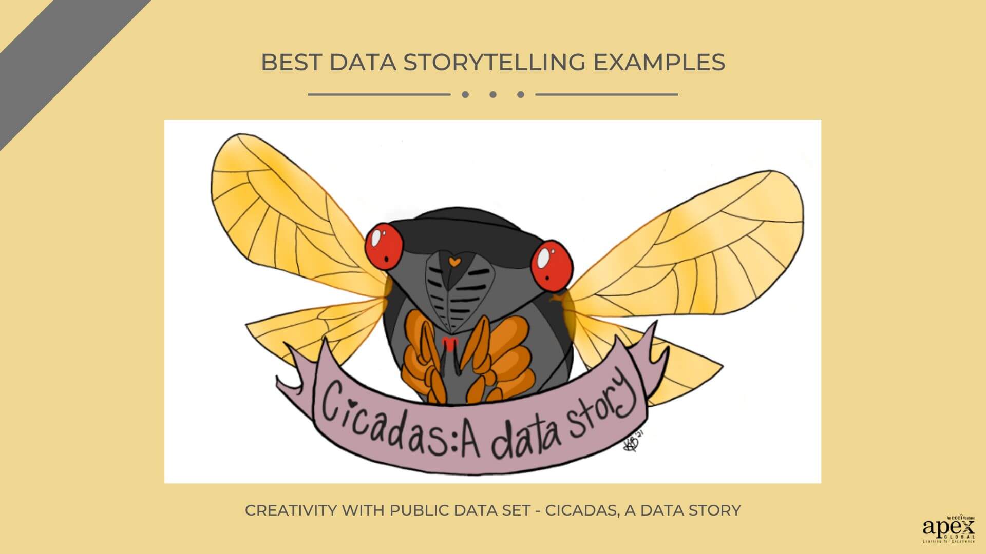 22 inspiring data storytelling examples